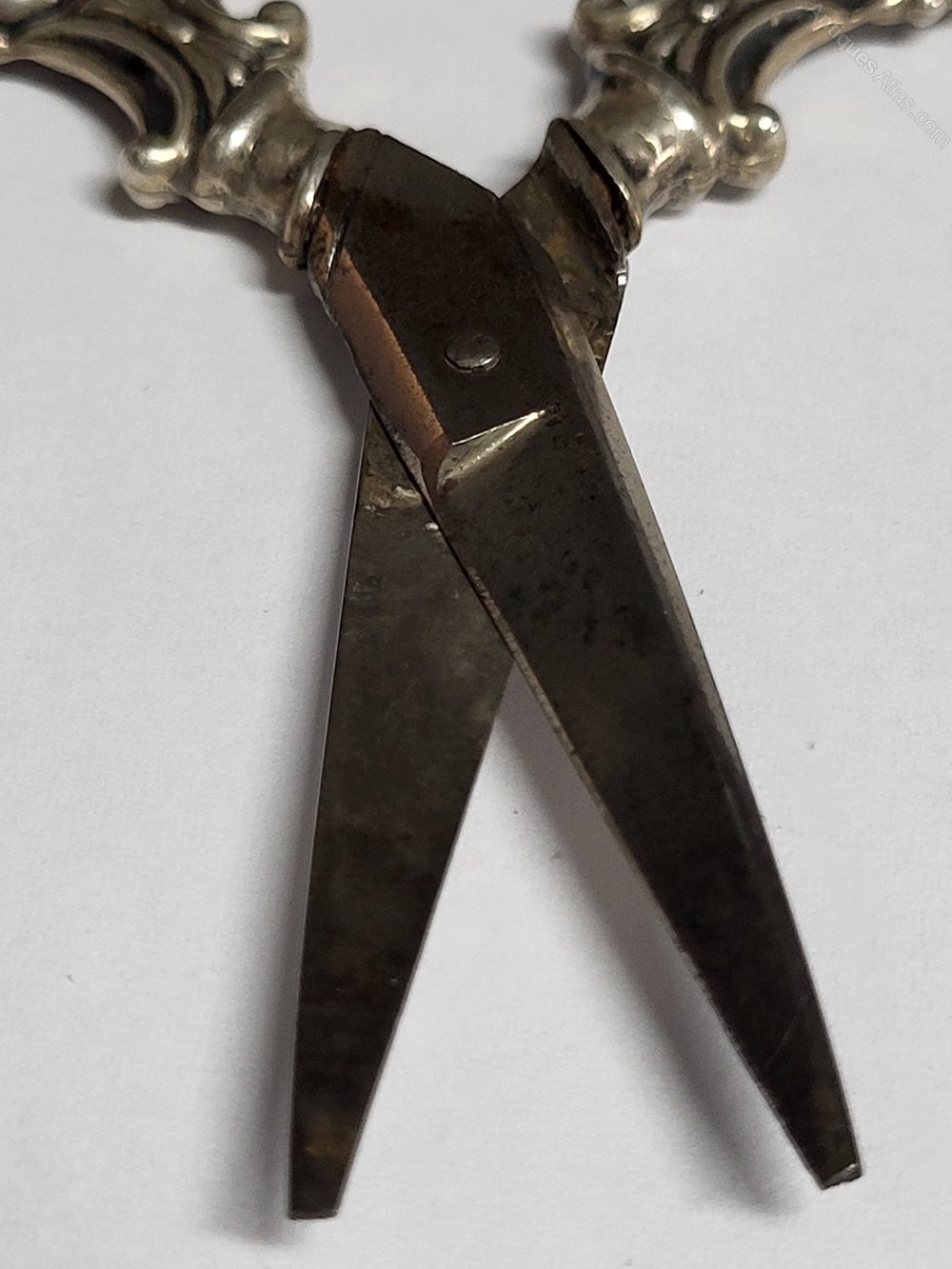 Antiques Atlas - Edwardian Silver Scissors. 1904.