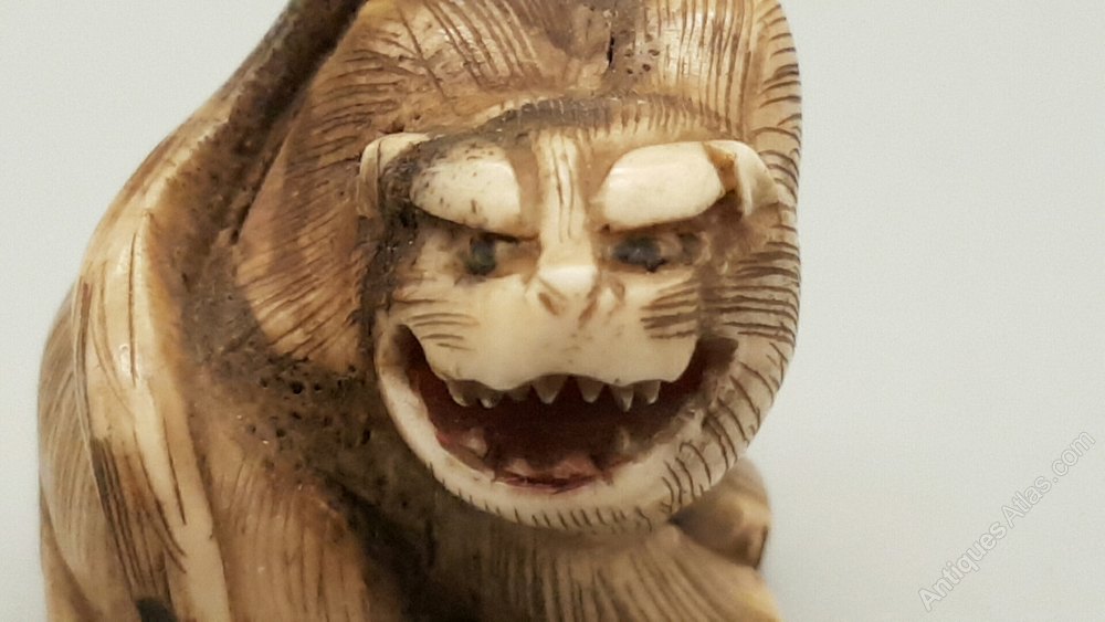 Antiques Atlas - Japanese Edo Ivory Tiger Netsuke
