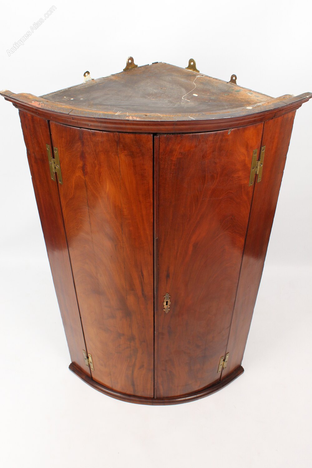 Georgian Mahogany Bow Front Corner Cupboard as526a2853 - Antiques Atlas