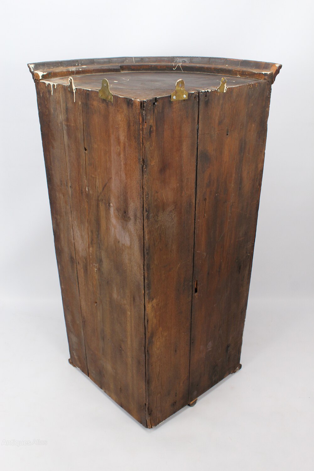 Georgian Mahogany Bow Front Corner Cupboard as526a2853 - Antiques Atlas