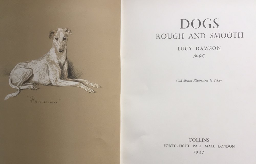 Antiques Atlas - Lucy Dawson Book 'Dogs Rough & Smooth' 1937 ac051a1252 ...