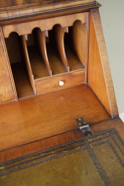 Antiques Atlas - Yew Dome Top Bureau Bookcase