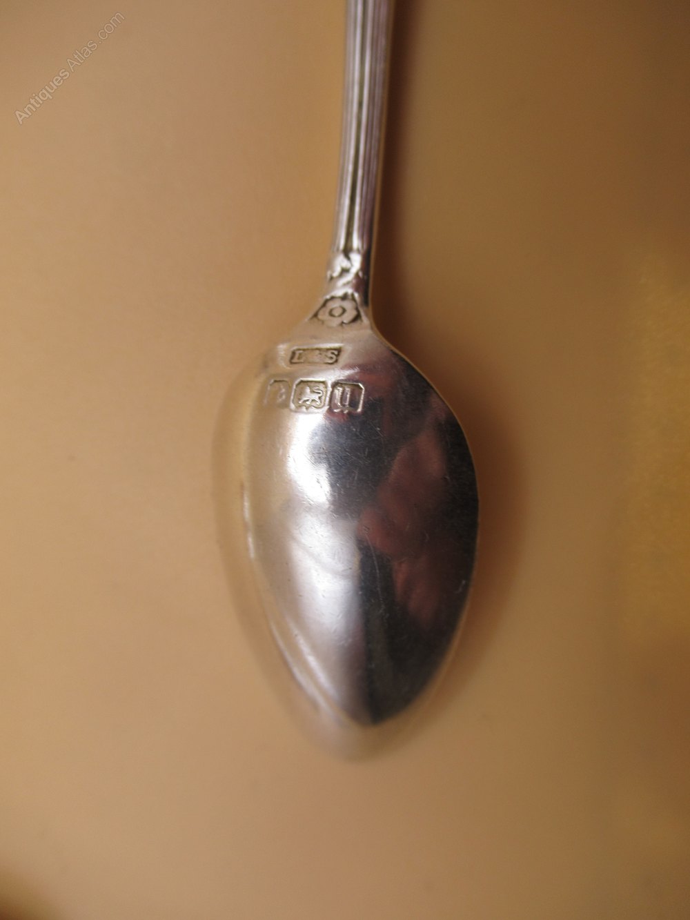 Antiques Atlas - Floral Silver Coffee Spoons Levi And Salaman 1919