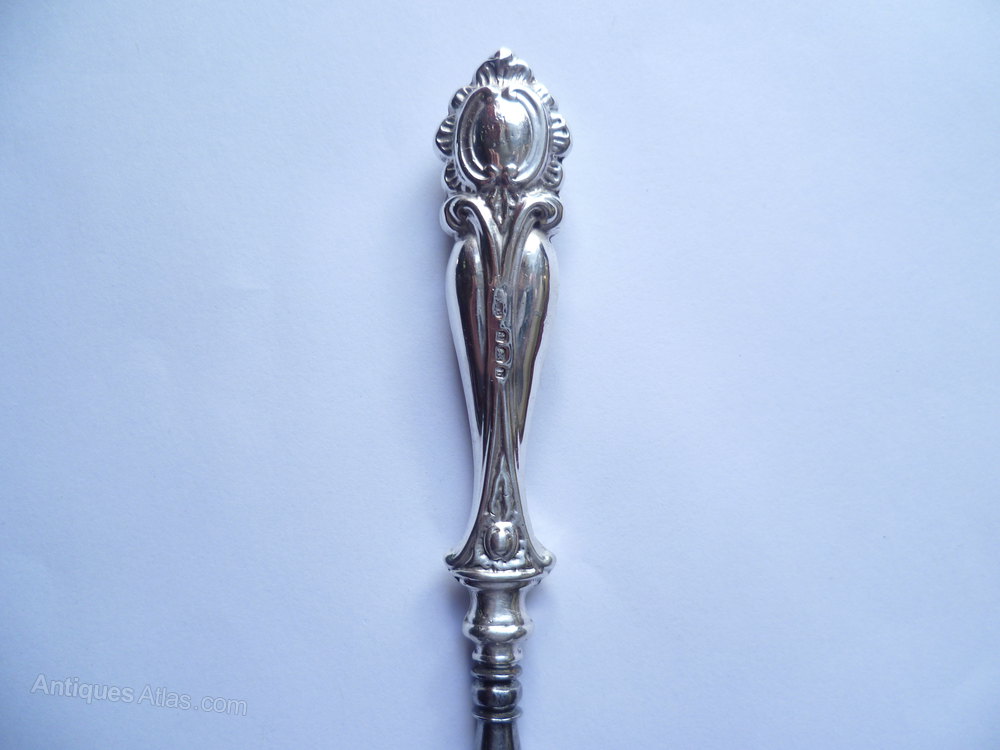 Antiques Atlas - Silver Button Hook