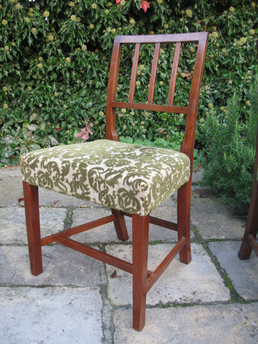 Set Of 8 Georgian Period Dining Chairs - Antiques Atlas