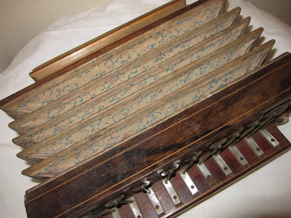Antiques Atlas - 19th Century Antique Flutina Accordion Rosewood