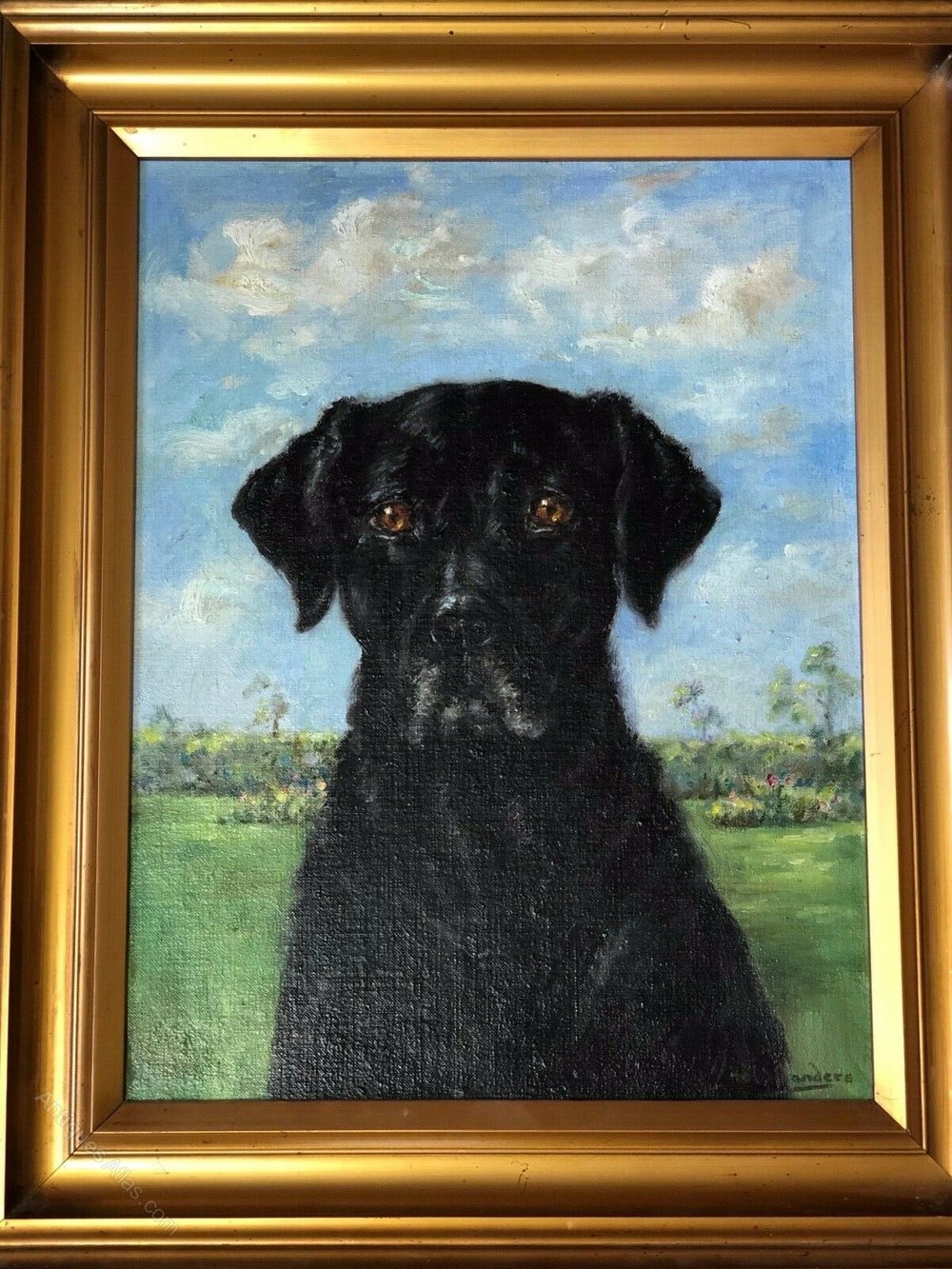 Antiques Atlas - English School Painting Labrador Black Dog Portrait