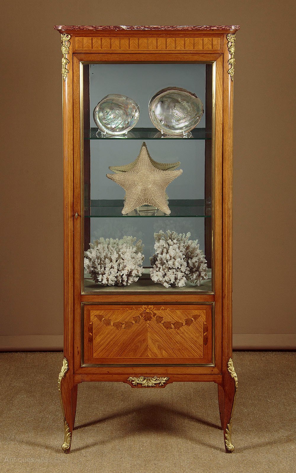 Narrow Parquetry Vitrine Display Cabinet C.1920 - Antiques Atlas