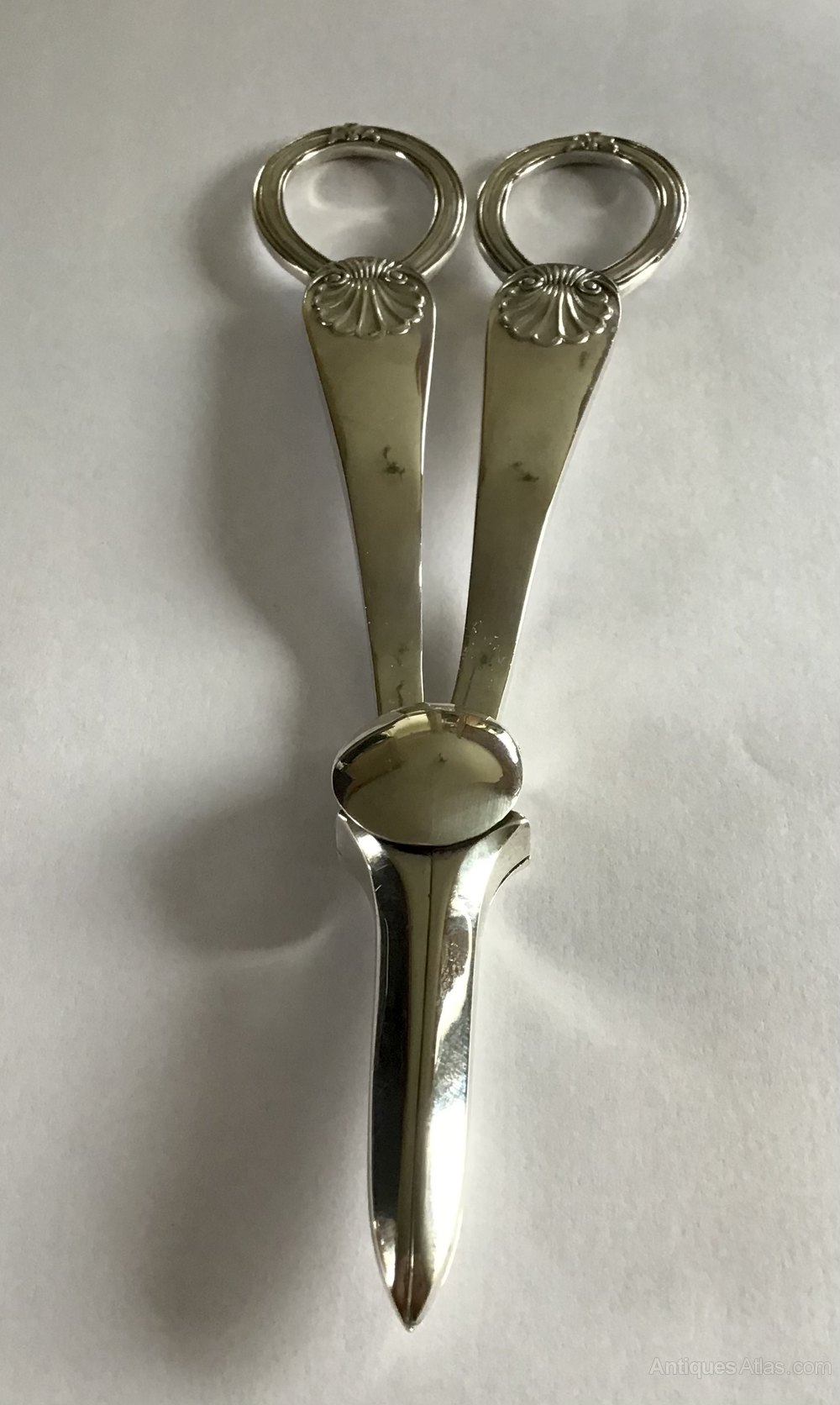 Antiques Atlas - Sheffield Silver Grape Scissors/Snips