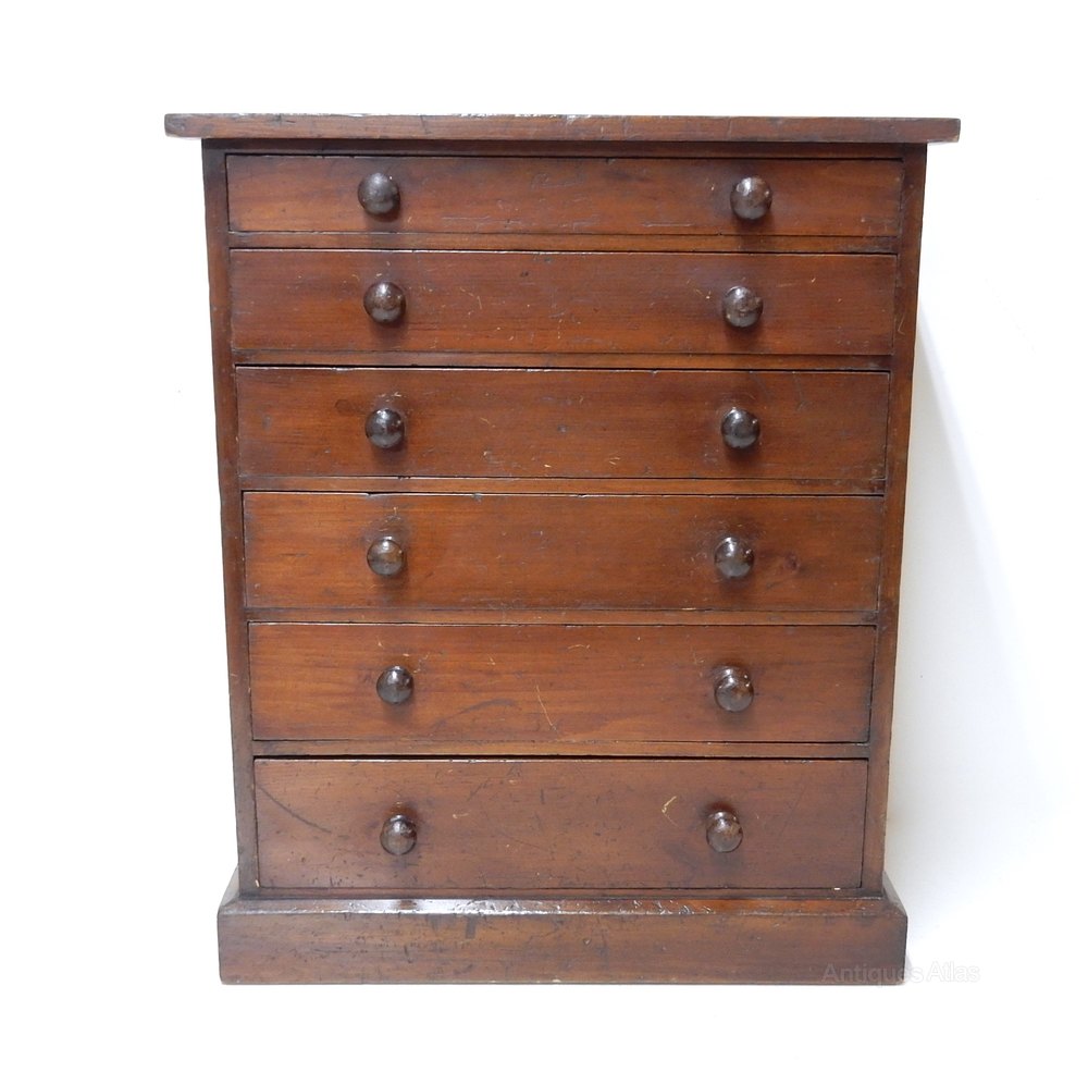 Pine Specimen Chest - Antiques Atlas