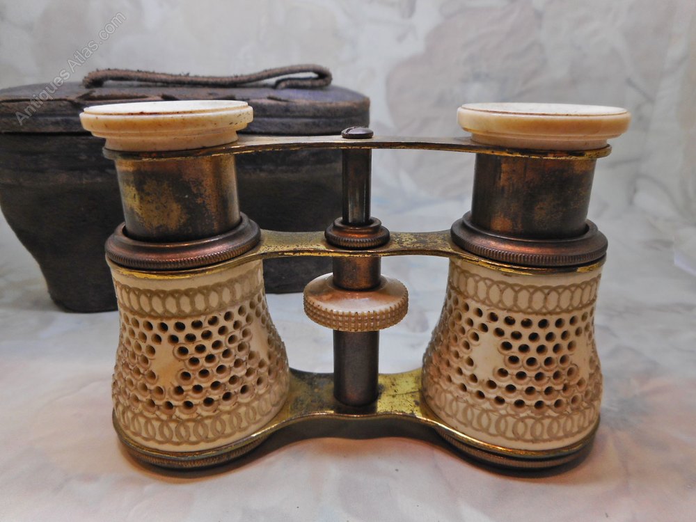Antiques Atlas - A Pair Of Pierced Bone Binoculars And Case. C 1890
