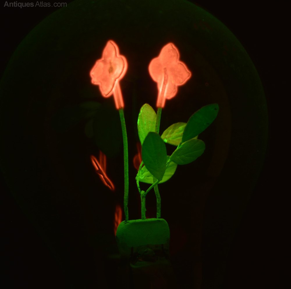 Antiques Atlas - Rare Early Aerolux Light Bulb - Flower Bulb as1064a290