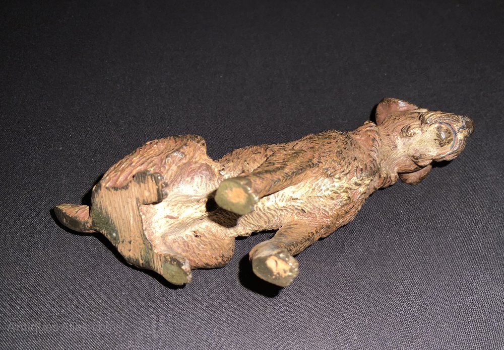 Antiques Atlas - Bronze Cold Painted Dog