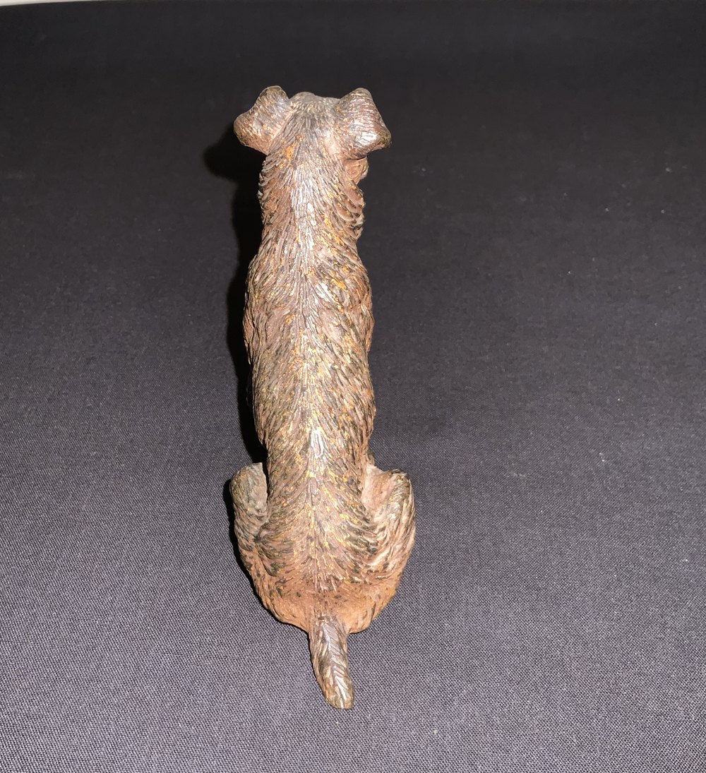 Antiques Atlas - Bronze Cold Painted Dog