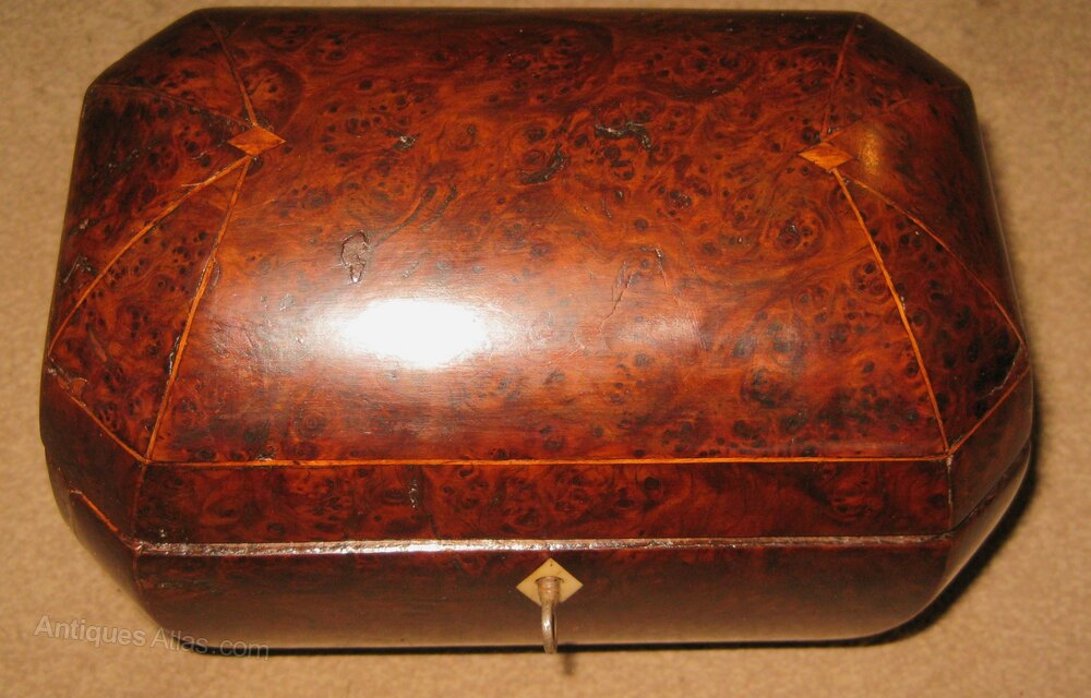 Antiques Atlas - Georgian, Barrel Shaped, Burr Elm Tea Caddy as513a1123 ...