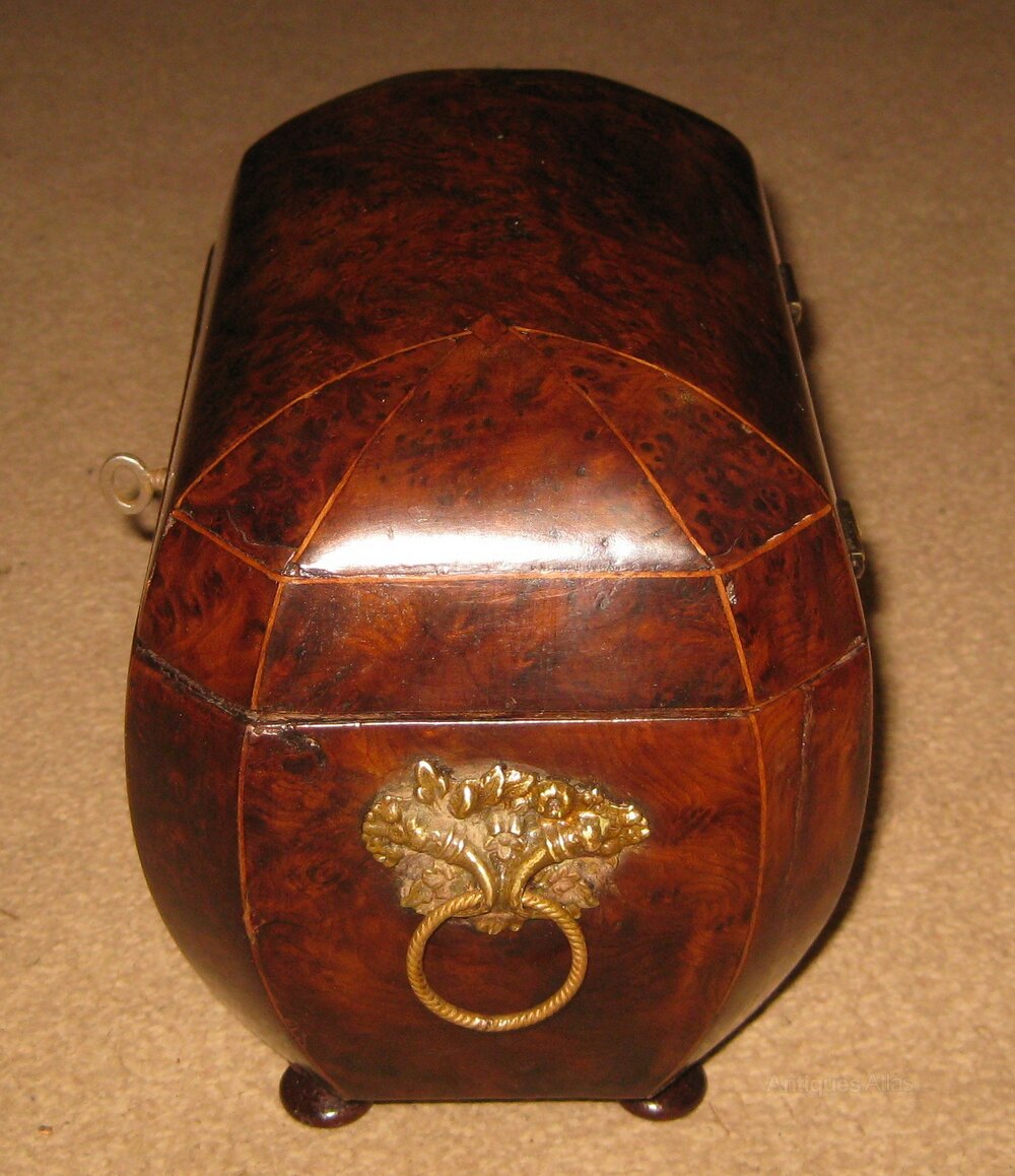 Antiques Atlas - Georgian, Barrel Shaped, Burr Elm Tea Caddy as513a1123 ...