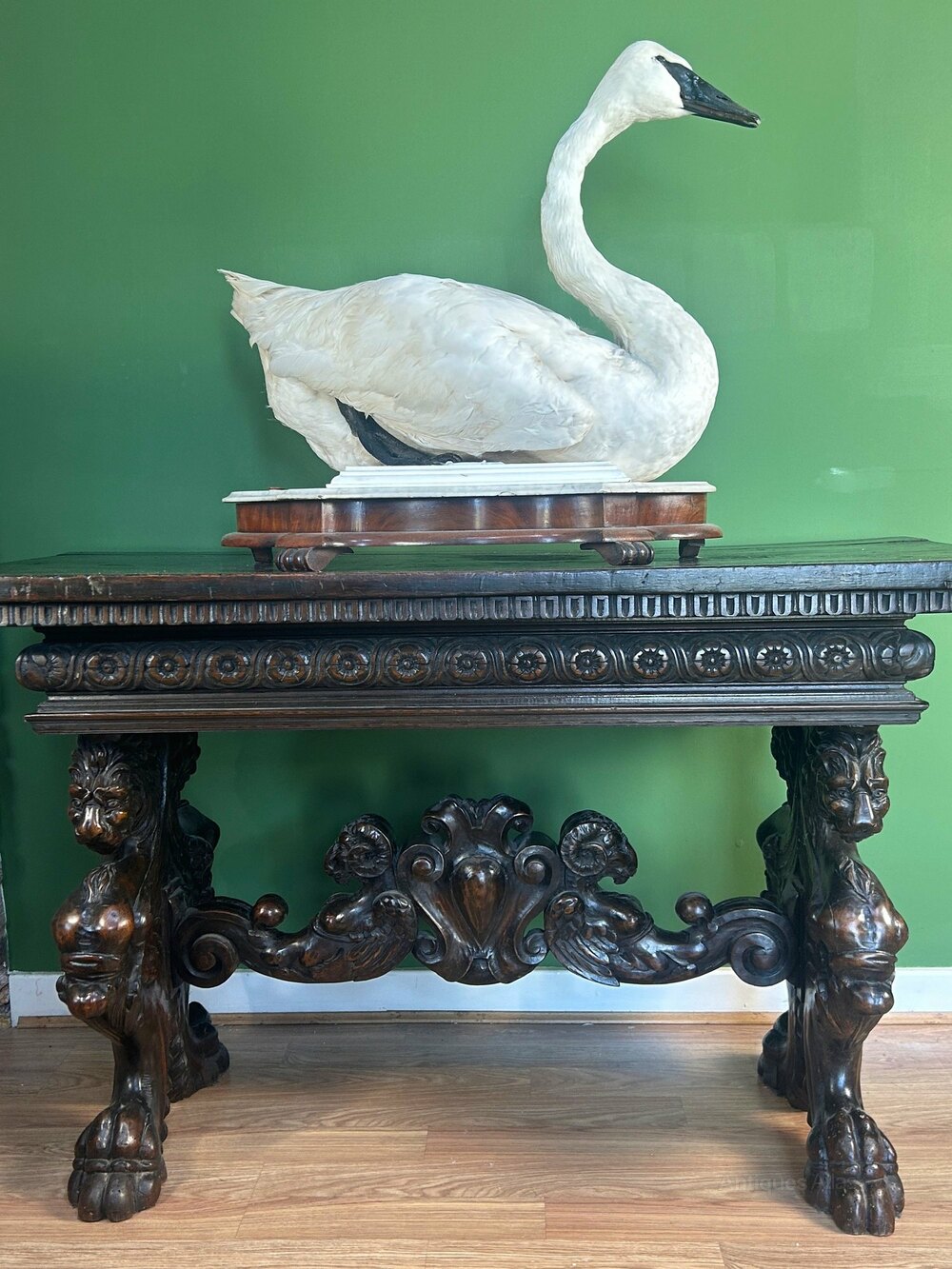 Antiques Atlas - Vintage Taxidermy Swan On Marble & Mahogany Base ...