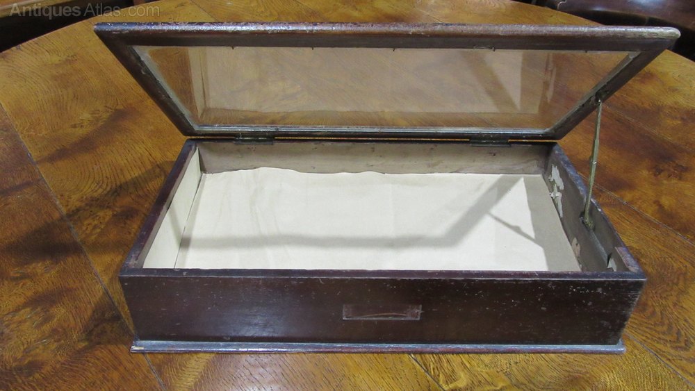 Decorative Antique Table Top Shop Display Case - Antiques Atlas