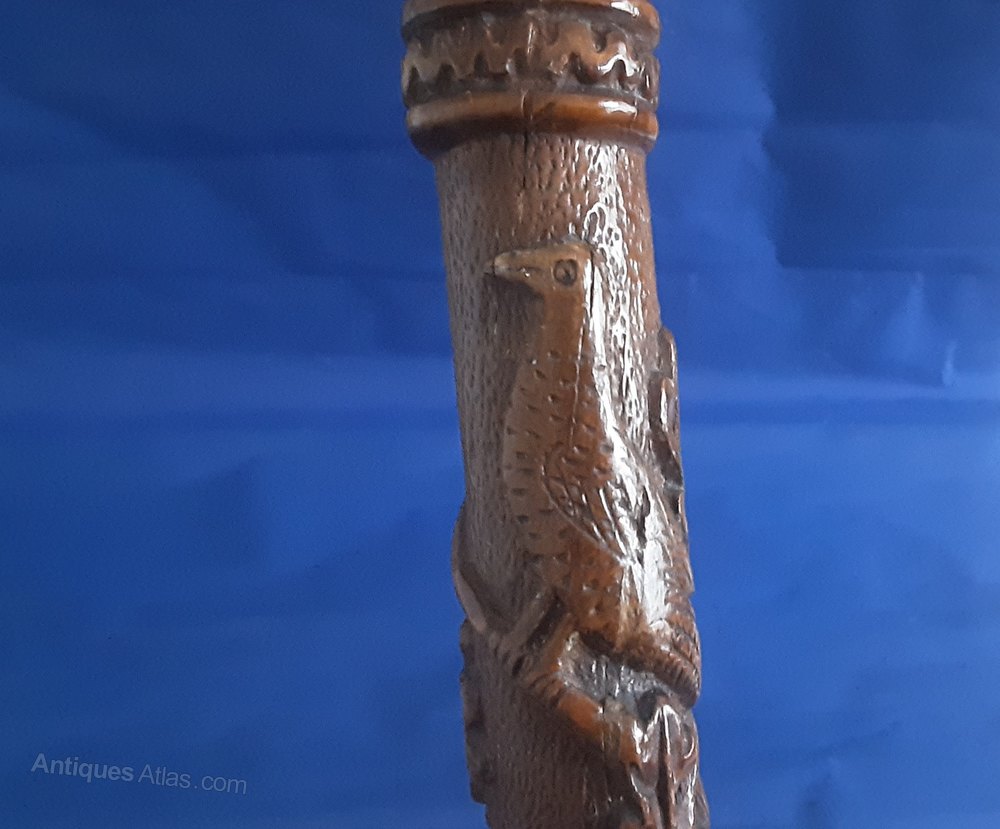 Antiques Atlas - Carved Edwardian Walking Cane 1905.