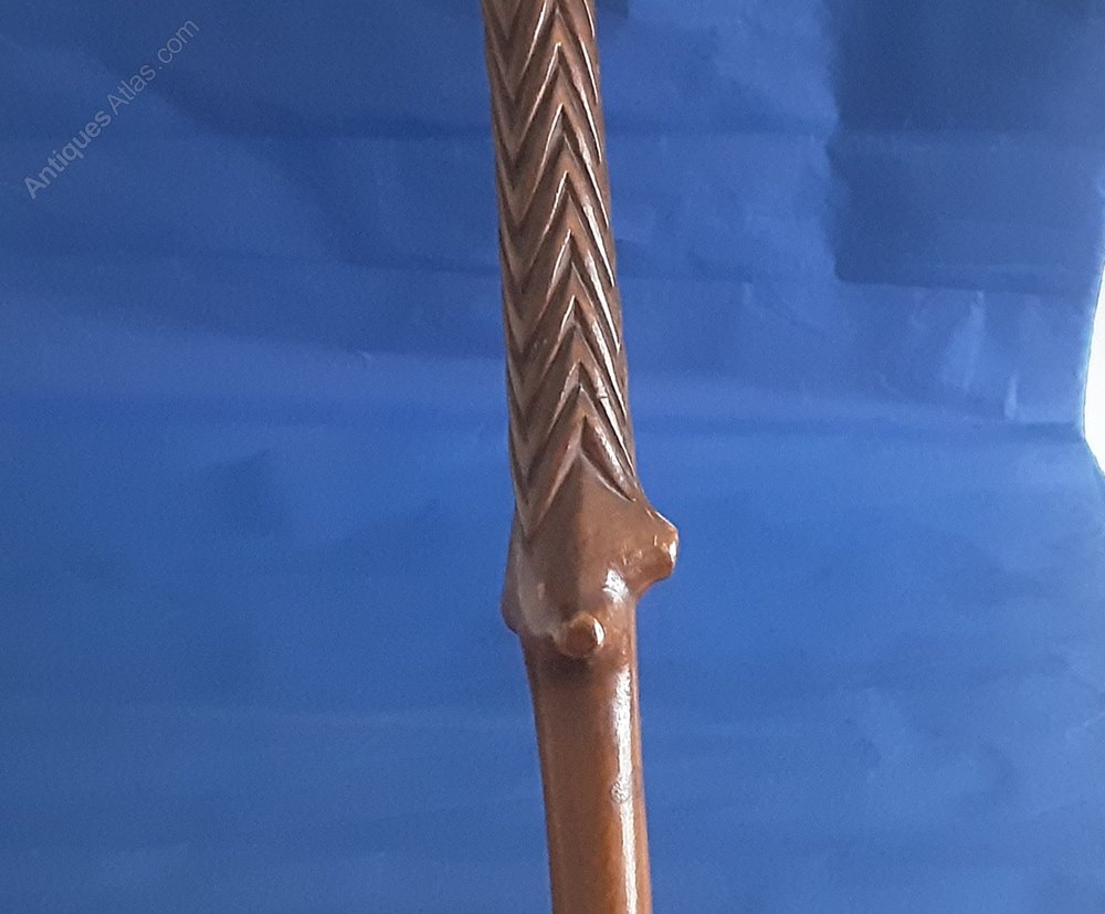 Antiques Atlas - Carved Edwardian Walking Cane 1905.