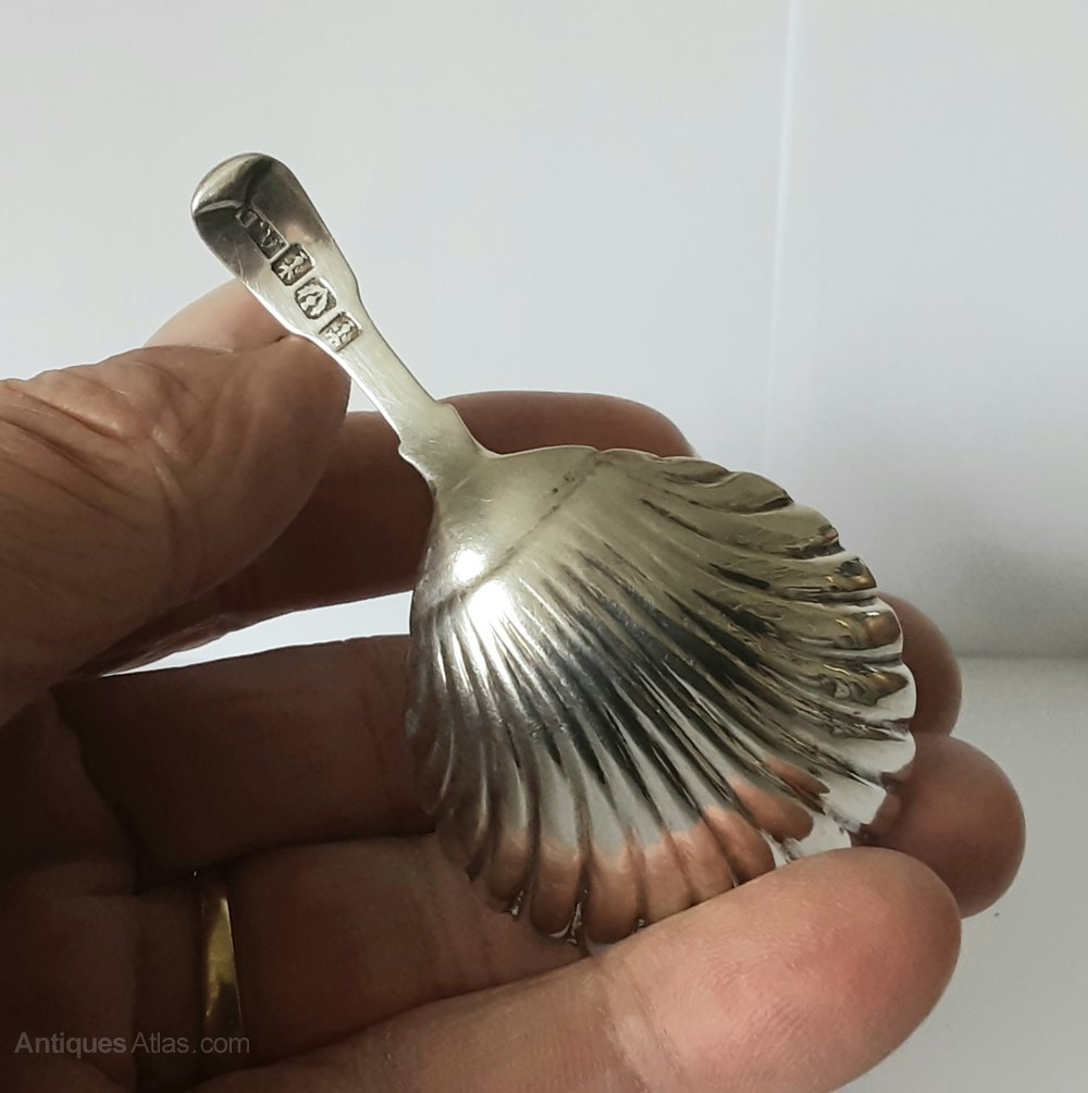 Antiques Atlas - Victorian Dundee Silver Caddy Spoon By Davidson.