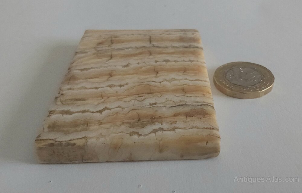 Antiques Atlas - Piece Of Polished Mammoth Tooth as1007a883