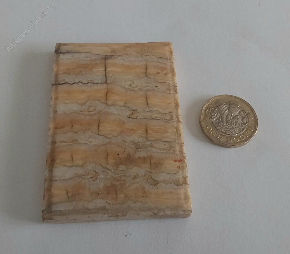 Antiques Atlas - Piece Of Polished Mammoth Tooth as1007a883