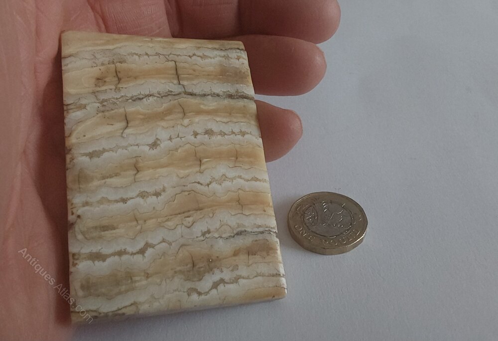 Antiques Atlas - Piece Of Polished Mammoth Tooth as1007a883