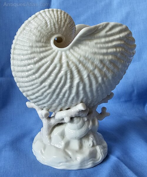 Antiques Atlas - A Fine Quality 1st Period Belleek Nautilus Shell Vase ...