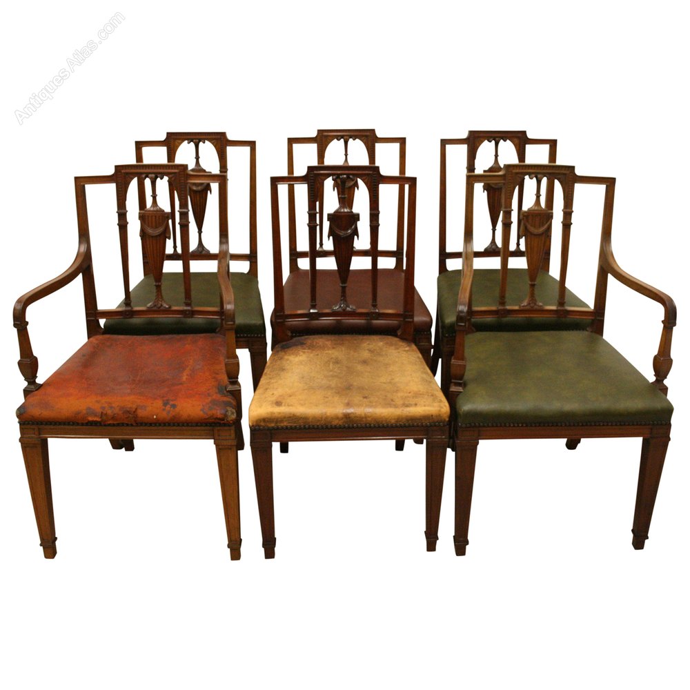Set Of 6 Adams Style Mahogany Dining Chairs - Antiques Atlas