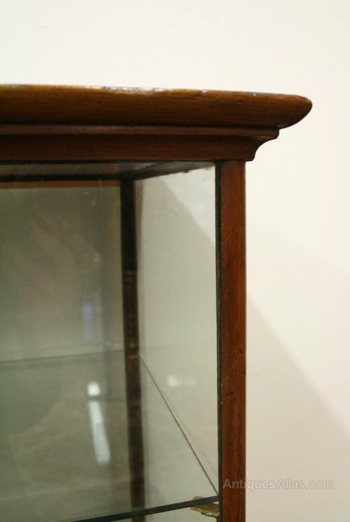 Shop Display Cabinet - Antiques Atlas