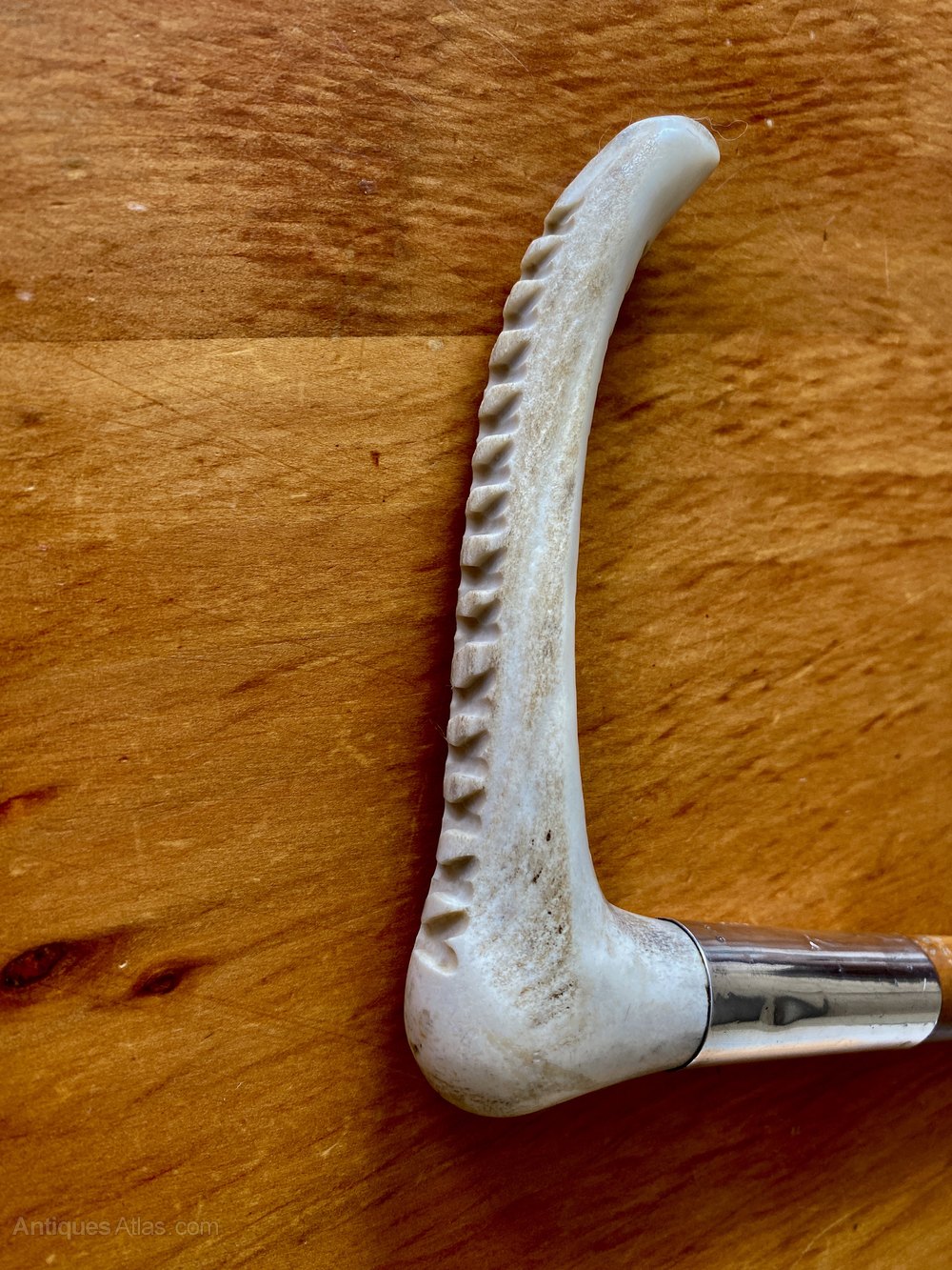 Antiques Atlas - Lovely Riding Crop,Silver Collar C1942