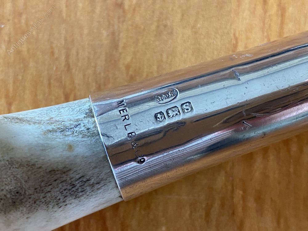 Antiques Atlas - Lovely Riding Crop,Silver Collar C1942