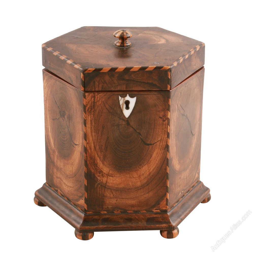 Antiques Atlas - Georgian Oyster Walnut Tea Caddy