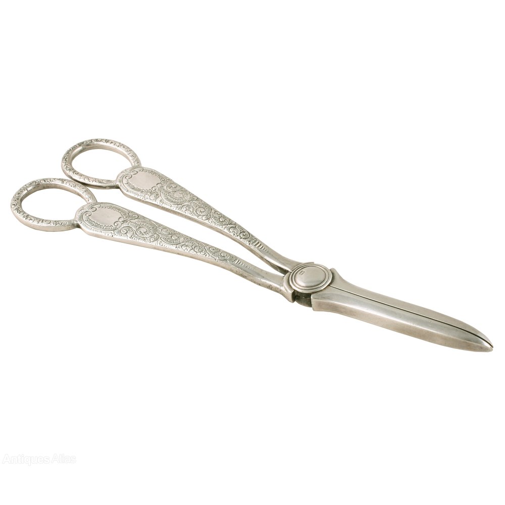 Antiques Atlas - Sterling Silver Grape Scissors