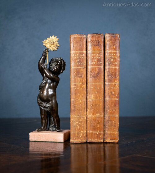 Antiques Atlas - 1816 The Linnaean System Of Botany In Four Volumes ...