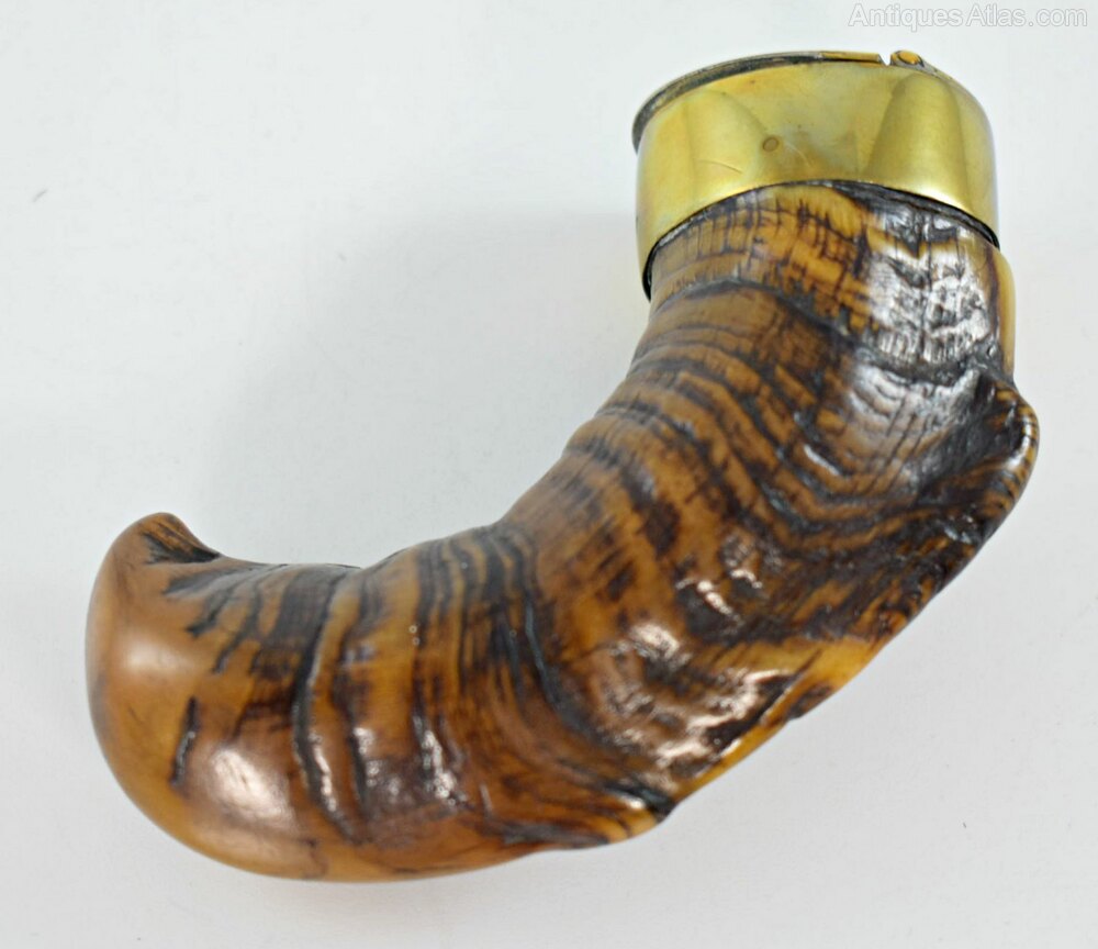 Antiques Atlas - Antique Georgian Rams Horn Snuff Mull Box as1230a106 ...