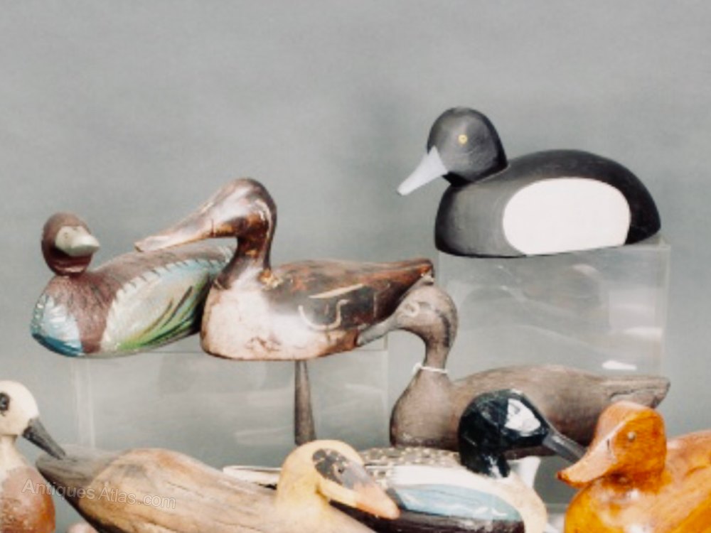 Antiques Atlas - Decoy Duck Collection X 16