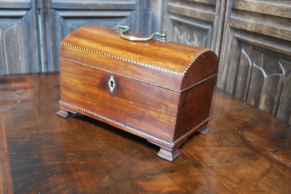 Antiques Atlas - Georgian Dome Top Tea Caddy
