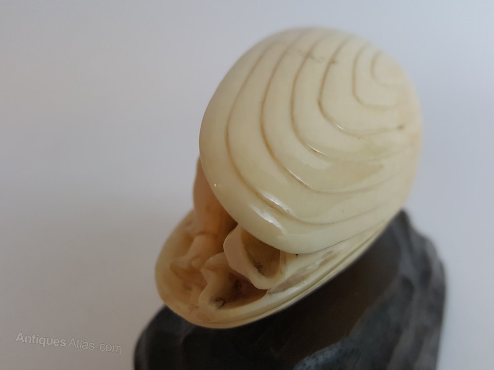 Antiques Atlas - 19th Century French Ivory Carving Of Cherub