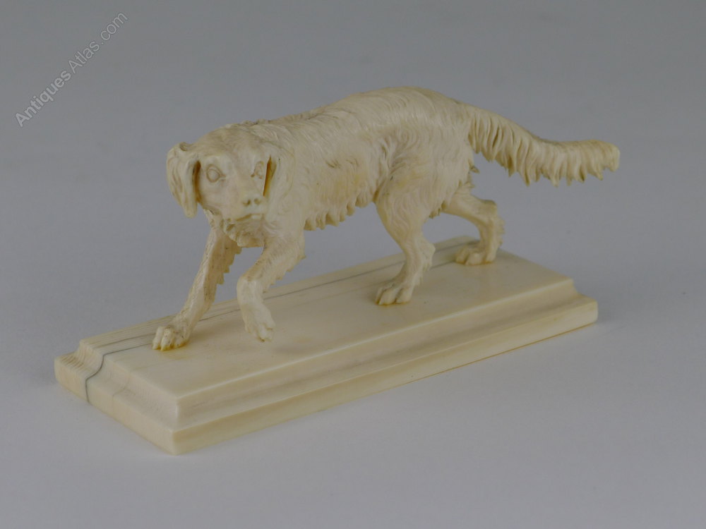 Antiques Atlas - Quality 19th C Dieppe Ivory Dog