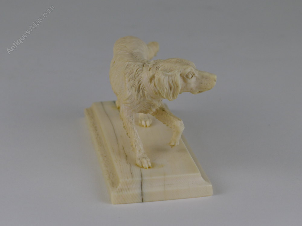 Antiques Atlas - Quality 19th C Dieppe Ivory Dog