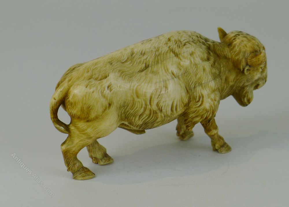 Antiques Atlas - Quality 19th C European Ivory Bison