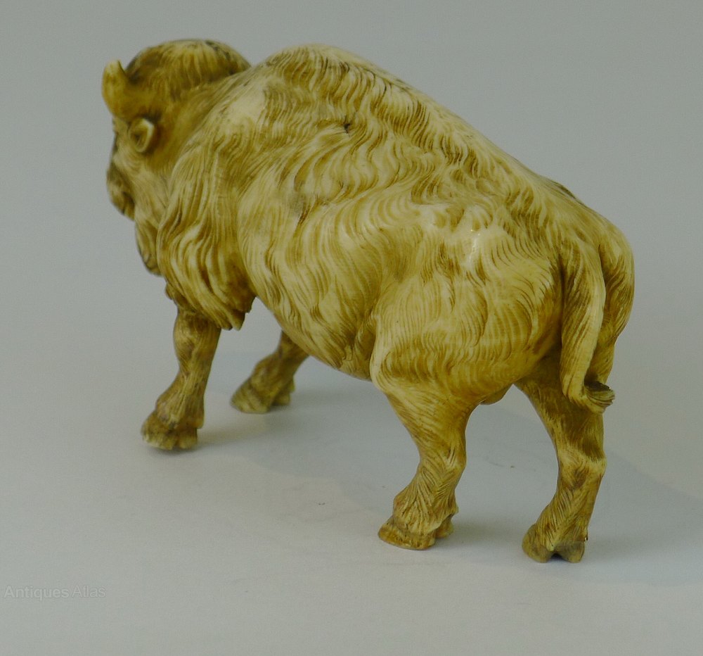 Antiques Atlas - Quality 19th C European Ivory Bison