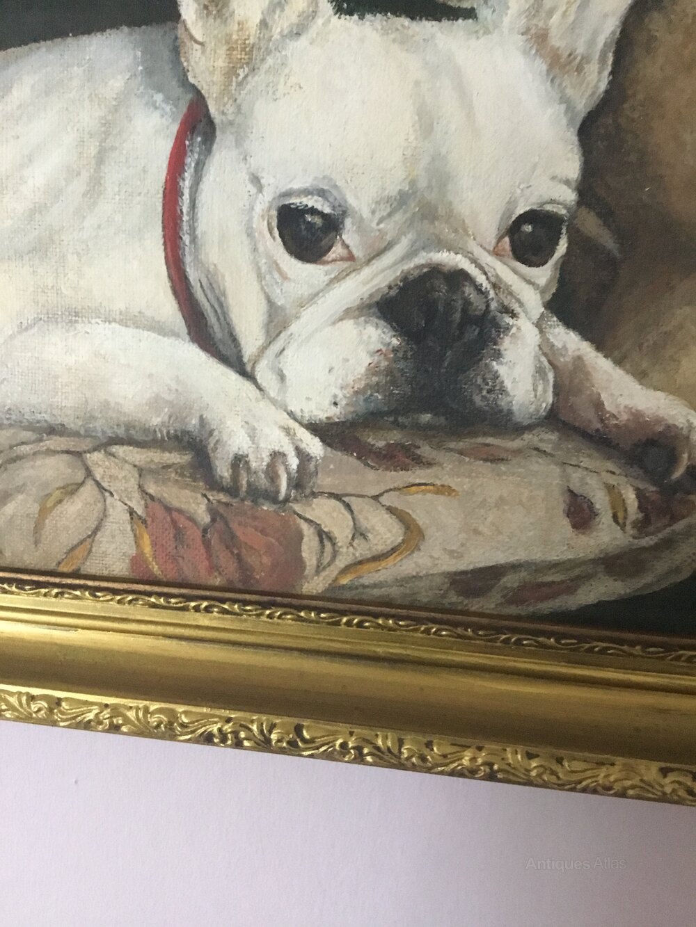 Antiques Atlas - Oil Painting French Bulldogs as1266a014 / O10