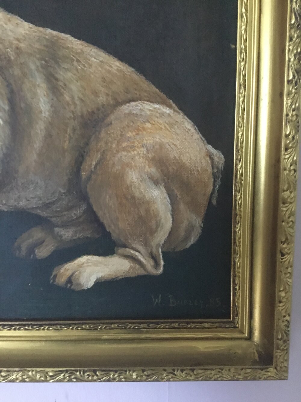 Antiques Atlas - Oil Painting French Bulldogs as1266a014 / O10
