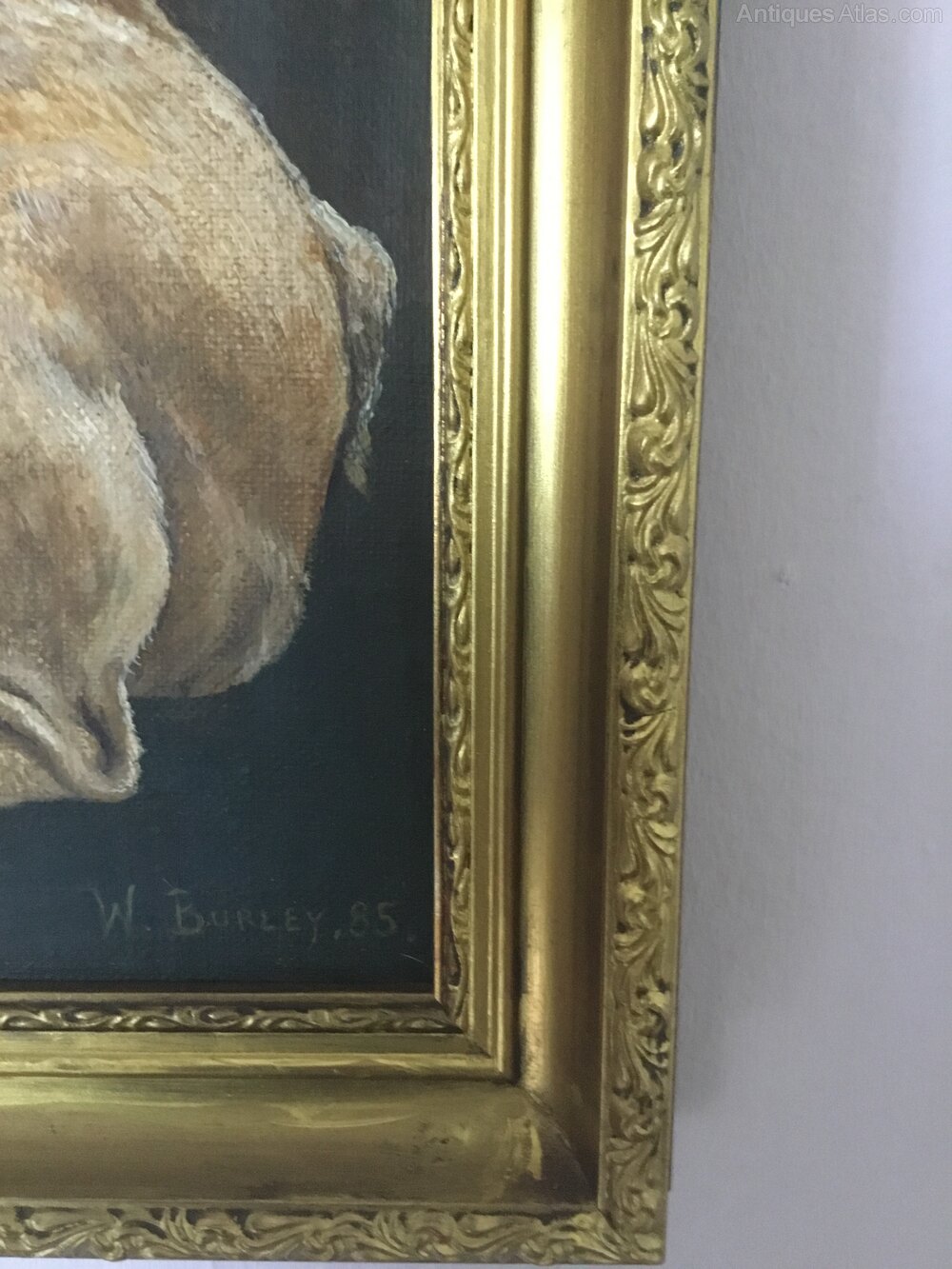 Antiques Atlas - Oil Painting French Bulldogs as1266a014 / O10