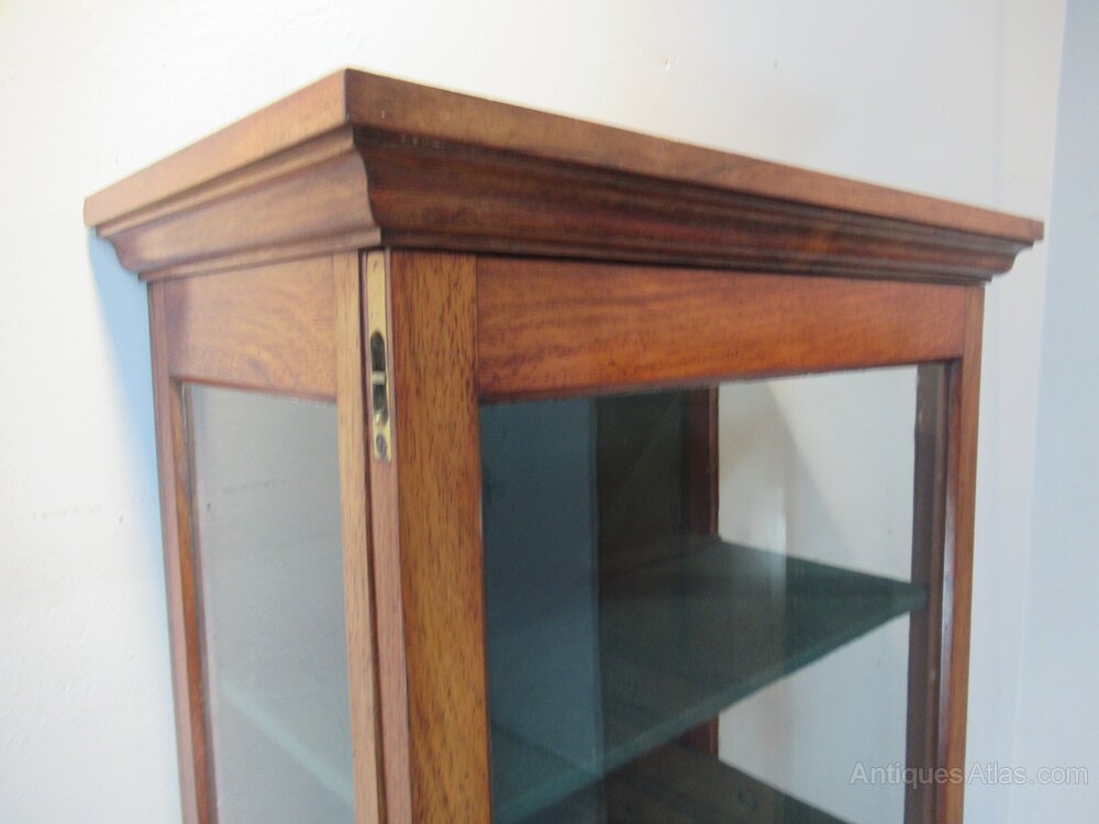 Victorian Slim Size Showcase / Display Cabinet as350a2274 - Antiques Atlas