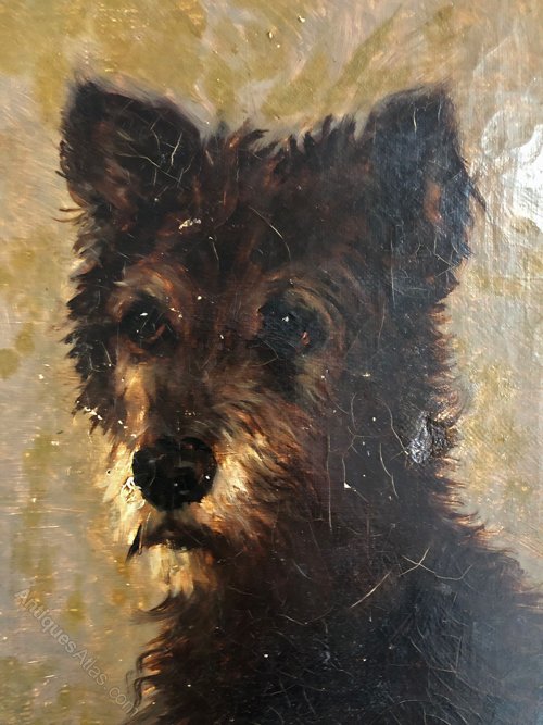 Antiques Atlas - Antique French Oil On Canvas Dog Portrait C.1850 ...