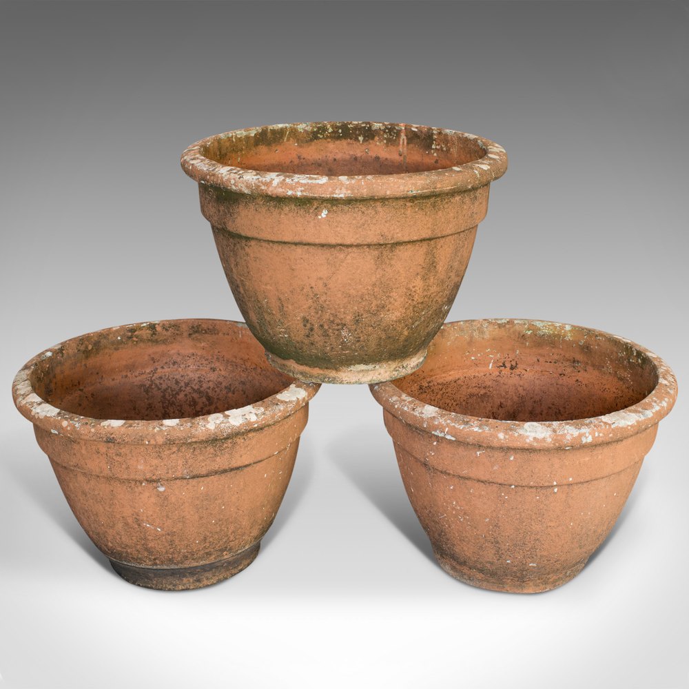 Antiques Atlas - Set Of 3 Vintage Planters, English, C.20th